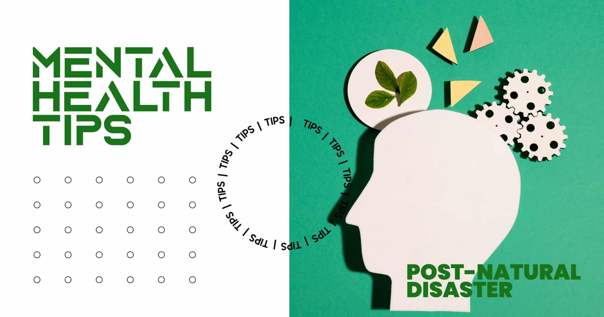 Mental Health After Natural Disasters: Essential Recovery Tips
